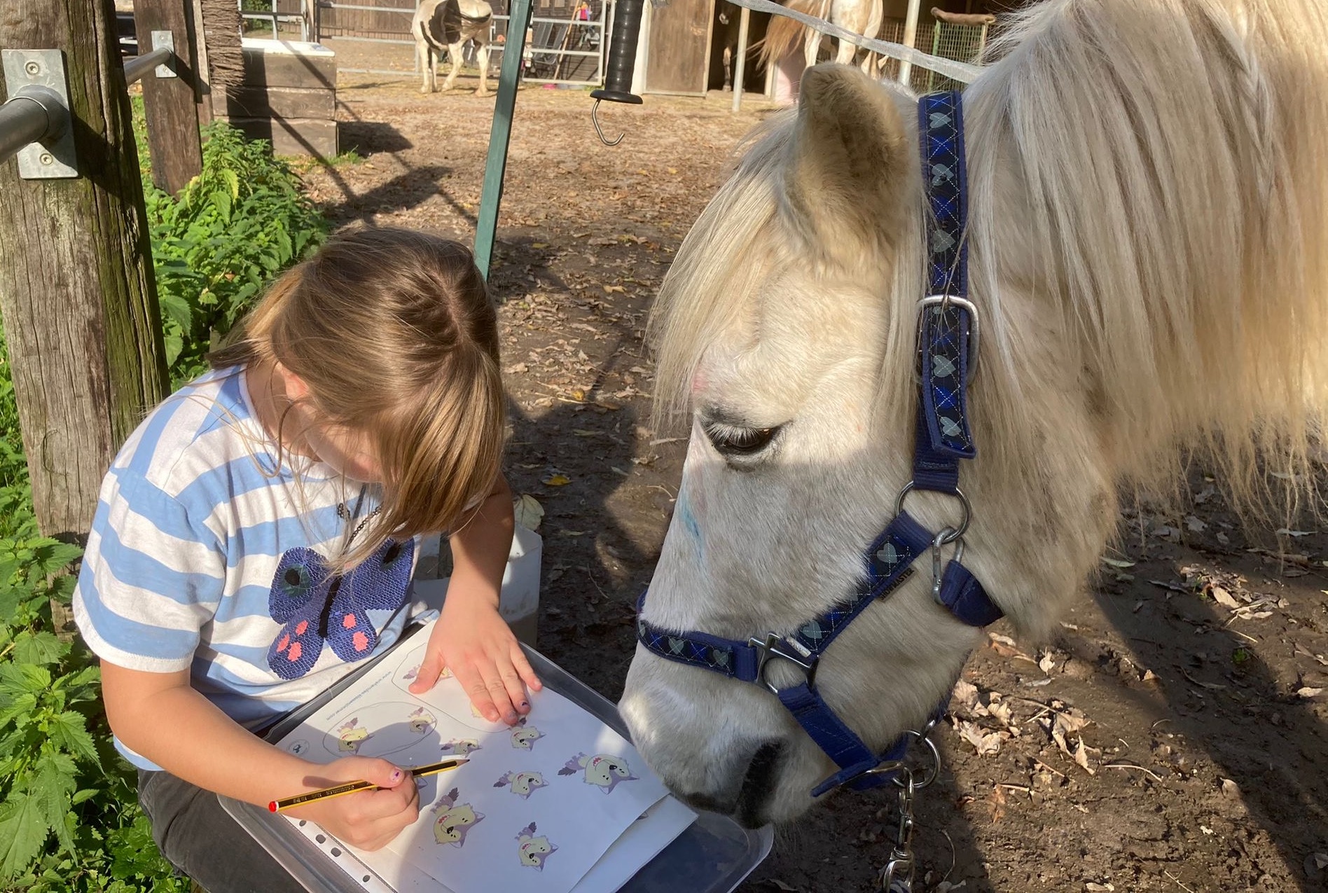 Den Stift im Griff - Mit dem Pony zu einer besseren Feinmotorik - Hallo ...